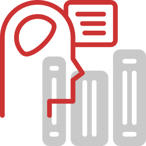 IBIS Master Systems Integration Services